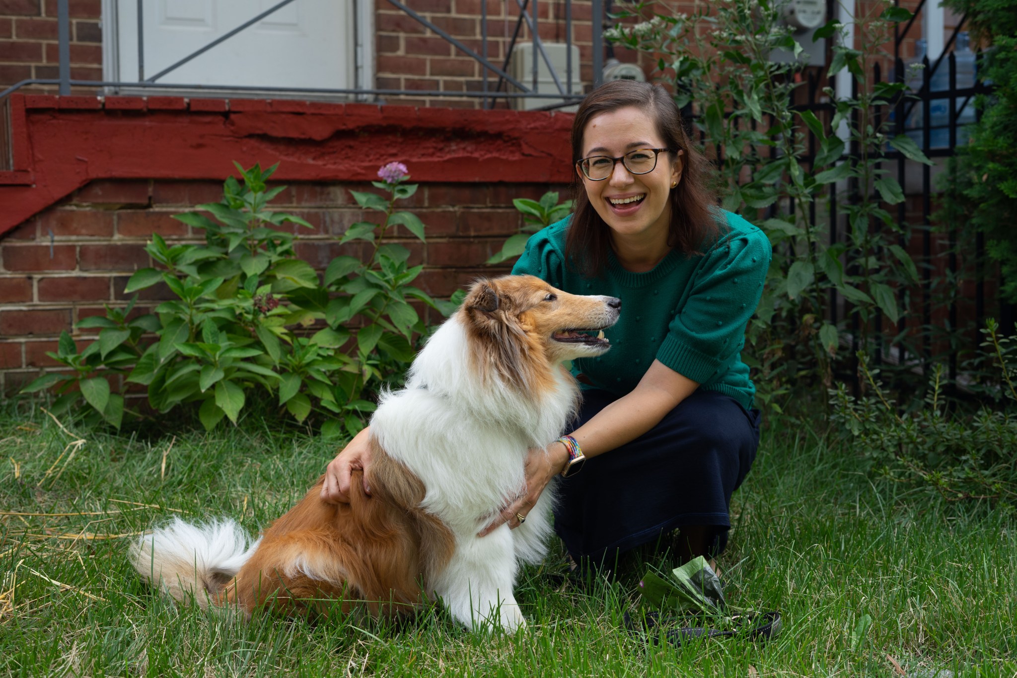 City law aims to lower RUFF count of dog attacks - Streetcar Suburbs News