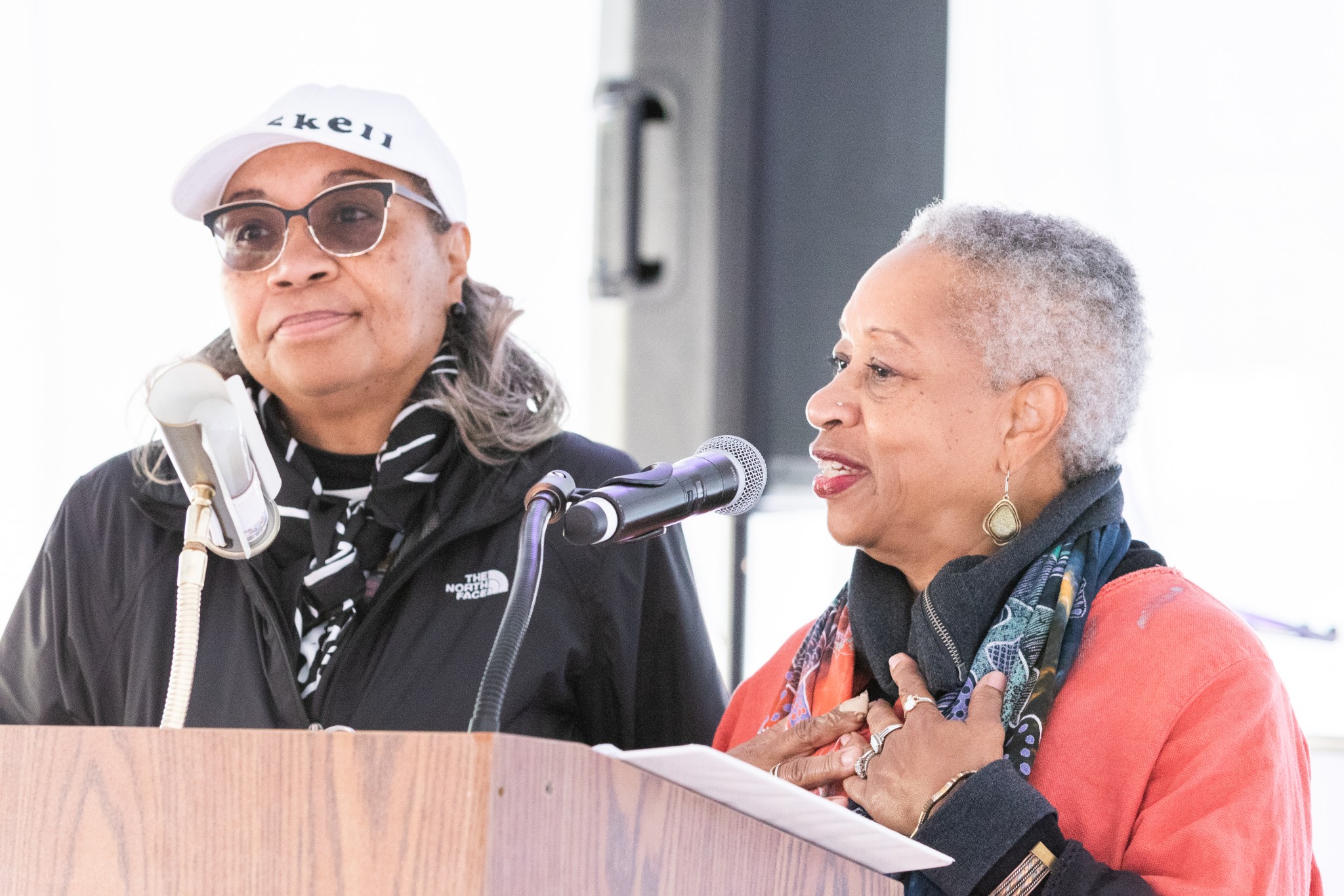 The HyLife: Driskell dedication: Collective colors weave a more just ...